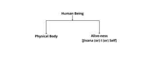 Understanding the Human Being as Coexistence of Self and Body - TheCScience